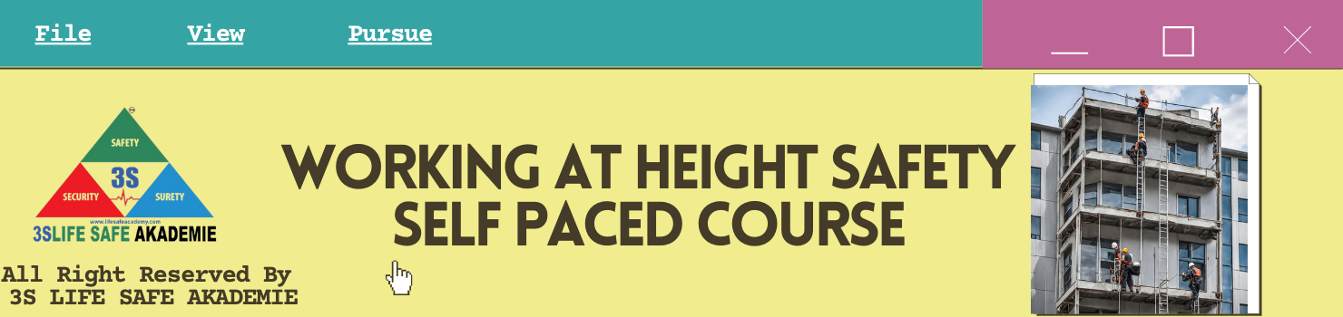 3S Distance Learning Platform